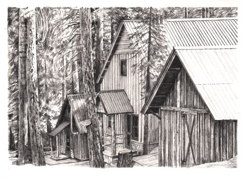A Whole Street of Cabins | The Cabins of Wilsonia