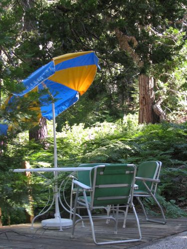 Cabin Photos That Won’t Become Drawings. . . | The Cabins of Wilsonia